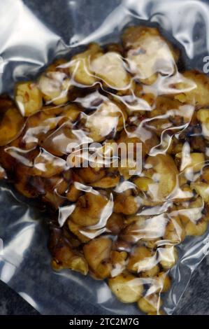 Magic truffles 15 gm [Sclerotia of Psilocybin Mushrooms] - MAGIC ...