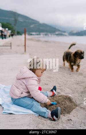 little girl digging hole in garden Stock Photo - Alamy