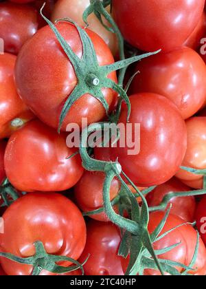 Fresh organic tomatoes seen up close Stock Photo - Alamy