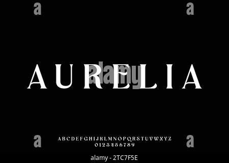 Elegant curvy stylish alphabet typeface display font vector with ...