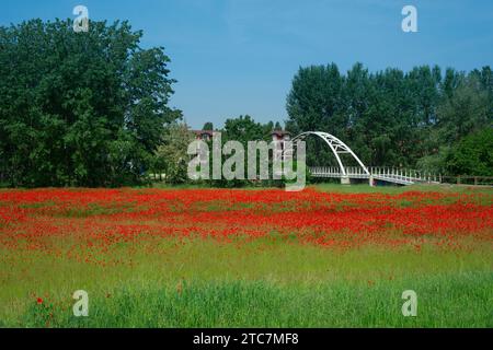 Italy, Lombardy, Crema, Ponte Ciclopedonabile Giorgio Bettinelli Stock ...