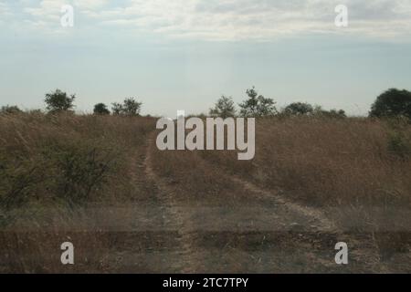 Mananga Adventure Trail, Satara, Kruger National Park, South Africa ...
