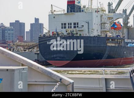 Bulk Carrier, ship, Vessel SSI IRRESISTIBLE, docked at Grain Terminal ...