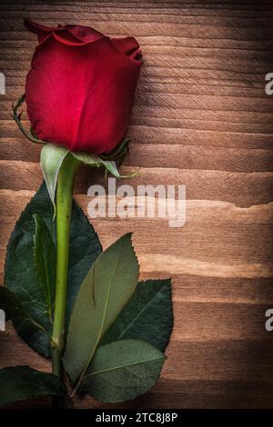 Red expanded rosebud on wood board holidays concept Stock Photo - Alamy