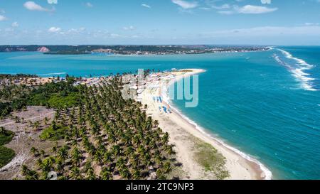 The incredible Praia do Gunga, Brazil. The coastline full of palm trees ...