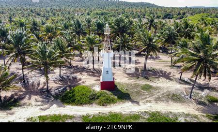 The incredible Praia do Gunga, Brazil. The coastline full of palm trees ...