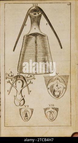 Wesling Kuenstliche Zerlegung 133 Stock Photo - Alamy