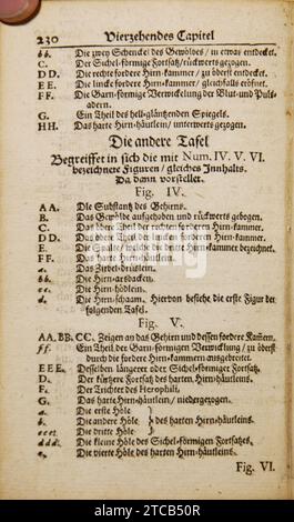 Wesling Kuenstliche Zerlegung 290 Stock Photo - Alamy