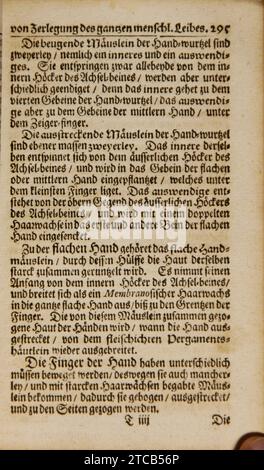 Wesling Kuenstliche Zerlegung 375 Stock Photo - Alamy