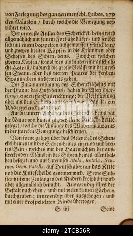 Wesling Kuenstliche Zerlegung 355 Stock Photo - Alamy