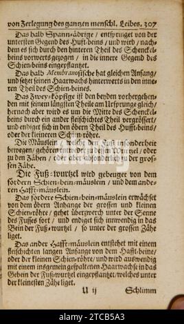 Wesling Kuenstliche Zerlegung 391 Stock Photo - Alamy