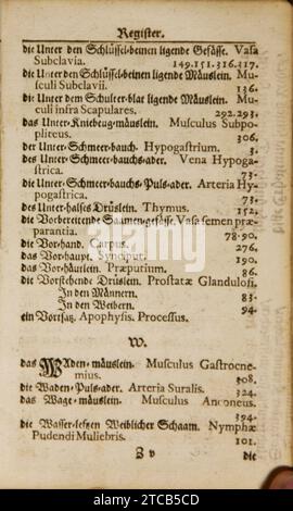 Wesling Kuenstliche Zerlegung 028 Stock Photo - Alamy