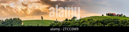 Vineyards panorama Leibnitz area famous destination wine country, south ...