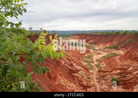 Red sandstone formations and needles (Tsingys) in Tsingy Rouge Park in ...