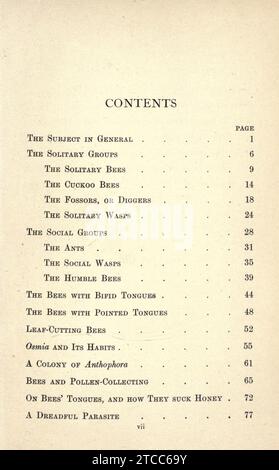 Wild bees, wasps and ants and other stinging insects Stock Photo - Alamy