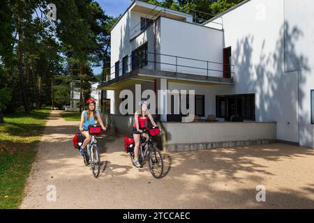 Elbe Cycle Route in Dessau Stock Photo - Alamy