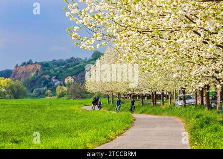 Elbe Cycle Route near Meissen Stock Photo - Alamy