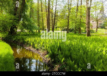 Schoenfeld Castle Park Grossenhain Stock Photo - Alamy