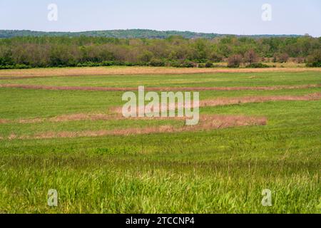 An Open Field at Hopewell Culture National Historical Park, Ohio Stock ...