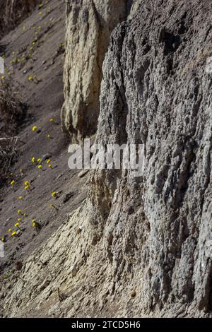 Surface texture of a mixture of sand and earth, close-up Stock Photo ...