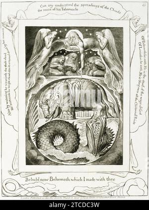 William Blake - Behemoth and Leviathan Stock Photo - Alamy