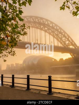 Golden misty sunrsie at Tyne Bridge and Sage centre framed by railings ...