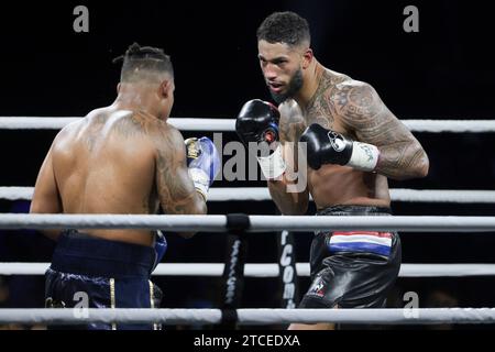 Ryad Merhy of Belgium (blue gloves) and Tony Yoka of France (black ...