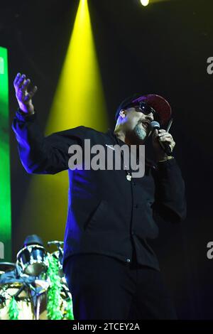 Cypress Hill, B-Real (Louis Freese) performs at the Accor Arena in ...