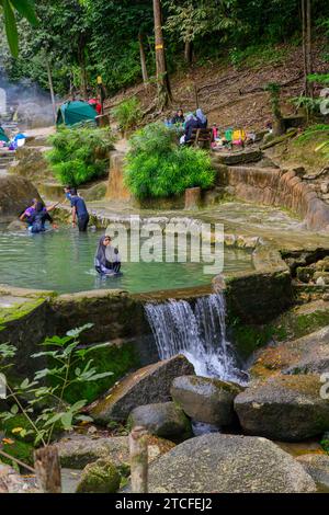 Teluk Bahang Forest Eco Park, Penang, Malaysia Stock Photo - Alamy