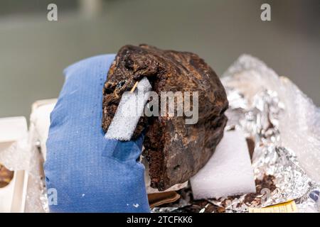 Fossils being repaired in a paleontology laboratory, reconstructing ...