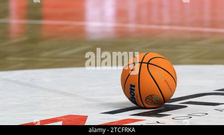 Opava, Czech Republic. 12th Dec, 2023. Rytas Vilnius fans during men's ...