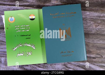 Cairo, Egypt, December 4 2023: Vaccination card and health instruction ...