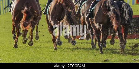 Racehorses photographed from behind - rear-view of horses competing in ...