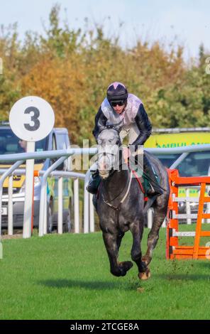 Down Royal Racecourse, Lisburn, Northern Ireland. 22 Jun 2024 ...