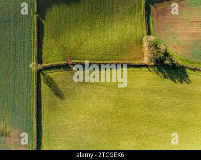 Top Down over Fields and Farms from a drone, Devon, England, Europe ...