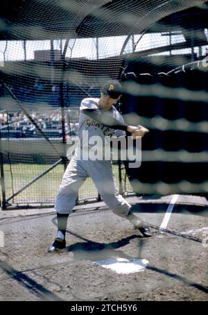 MAY, 1956: Dale Long #3 of the Pittsburgh Pirates hits in the batting ...
