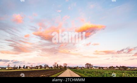 Fields farmland with blue cloudy sky in the evening time. Field in the ...