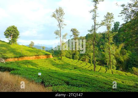 Beautiful nature location in our world Stock Photo - Alamy