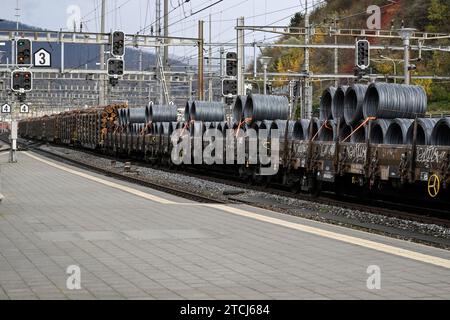 Rail freight transport SBB Cargo International Stock Photo - Alamy