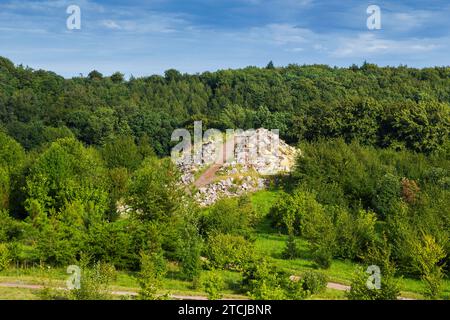 The Forest Botanical Garden Tharandt is an institution of the Technical ...