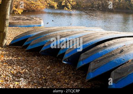 Dresden, great garden. View over the palaist to the Palais Stock Photo ...