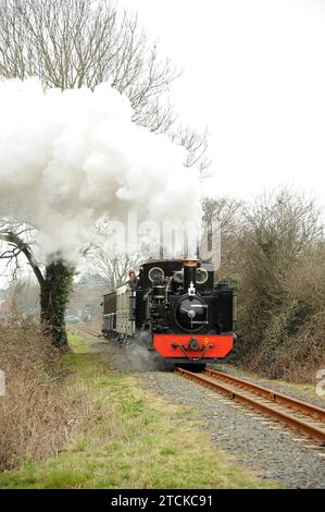 "Prince of Wales" at Llanbadarn Fawr with a mixed train Stock Photo - Alamy