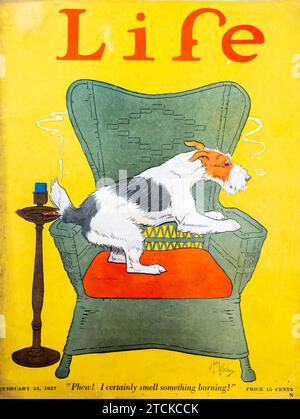 1920s USA Life Magazine Cover Stock Photo - Alamy