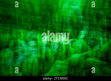 Abstract maize plants, wiping effect, looks like soldiers Stock Photo ...