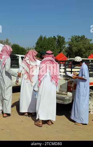 Livestock traders at a roadside auction in Saudi Arabia Stock Photo - Alamy