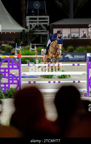 International show jumping in California Stock Photo - Alamy