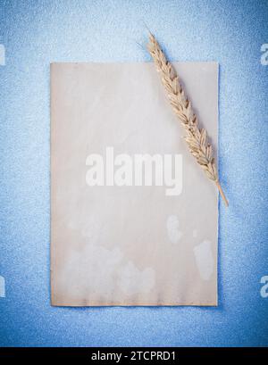 Wheat ear vintage paper sheet on blue background top view Stock Photo ...