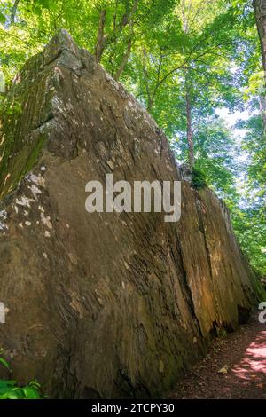 The Lake Vesuvius Trail at Wayne National Forest in Ohio Stock Photo ...