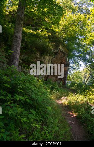 The Lake Vesuvius Trail at Wayne National Forest in Ohio Stock Photo ...
