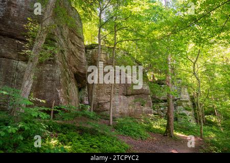 The Lake Vesuvius Trail at Wayne National Forest in Ohio Stock Photo ...